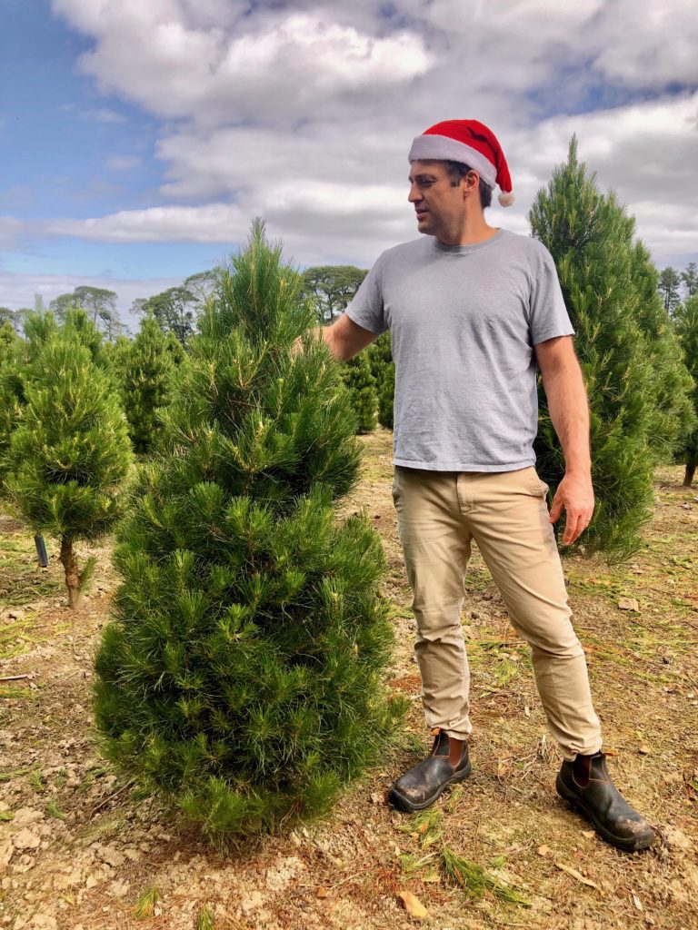 Shop 5 ft. Real Christmas Tree in Richmond, Melbourne